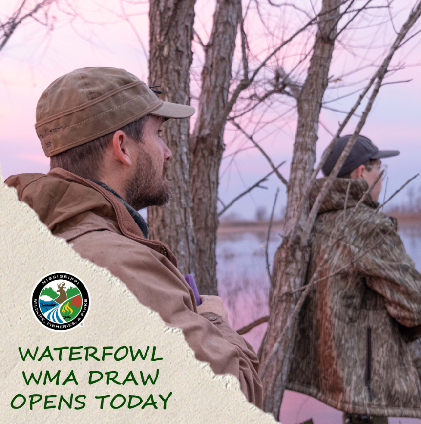 MDWFP Opens Applications for Wildlife Management Area Waterfowl Draw ...